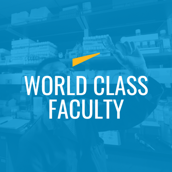 World Class Faculty prospective student webpage logo | College of Natural & Agricultural Sciences